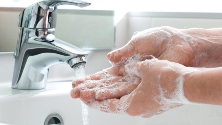 How to Prevent and Treat Sand Flea Bites? | A Complete Guide - EXOtella